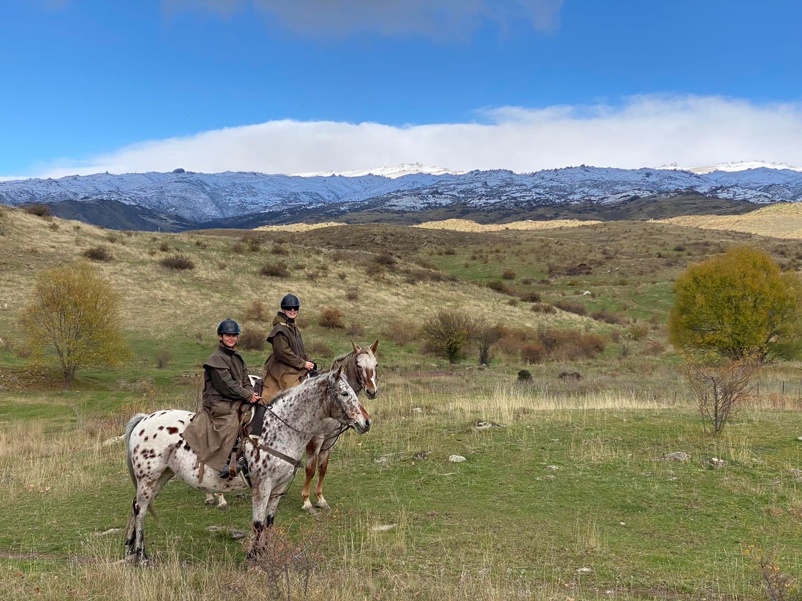 Backcountry Saddle Expeditions, Alexandra, Otago - NZ Online Travel