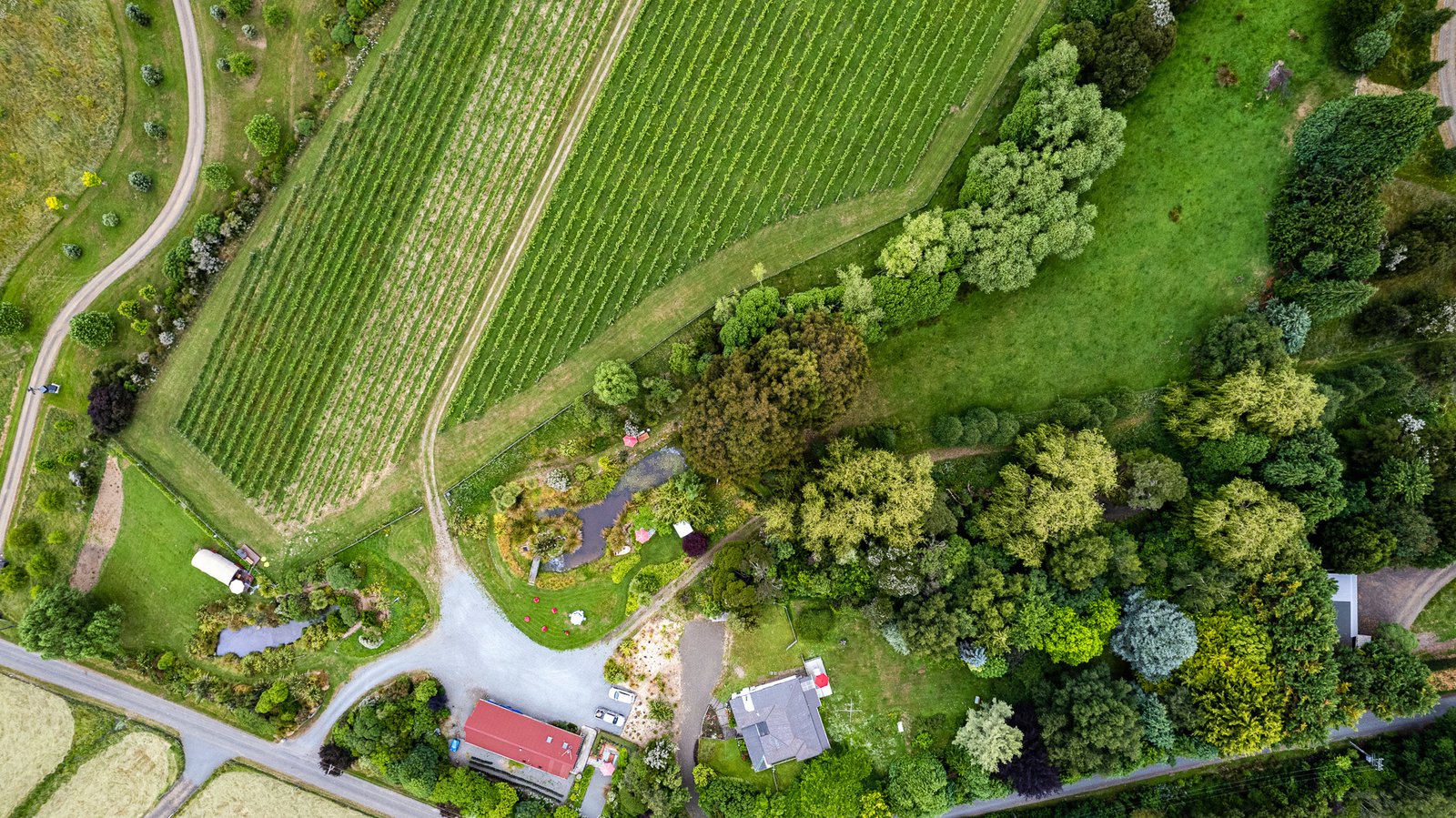 French Peak Vineyard & Accommodation, Akaroa, Banks Peninsula - NZ ...
