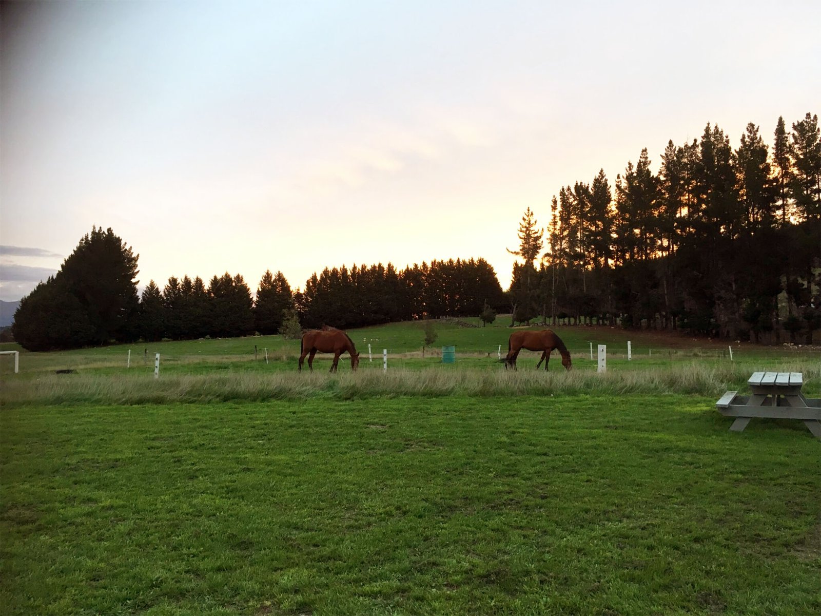 Andys Place Campground, Te Anau, Fiordland - NZ Online Travel