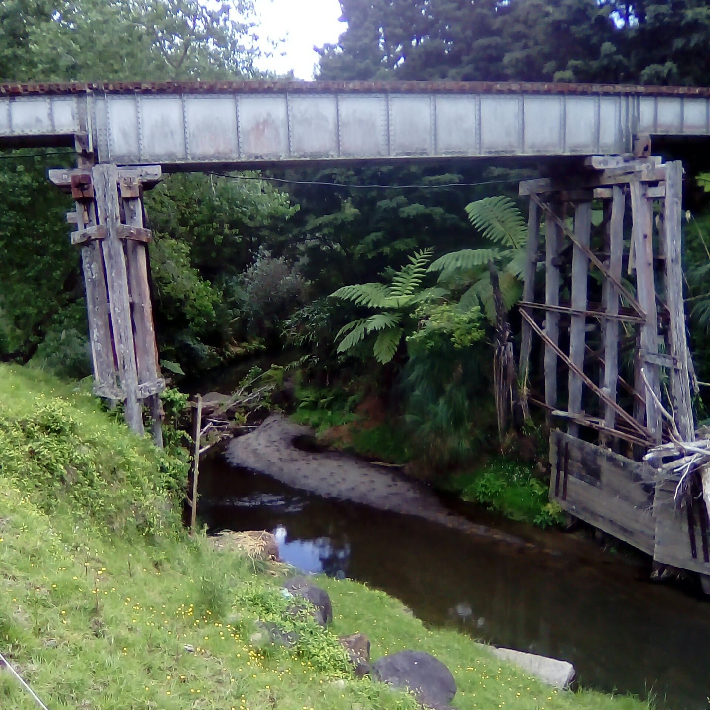 Dargaville Rail Cart Tours, Dargaville, Northland - NZ Online Travel