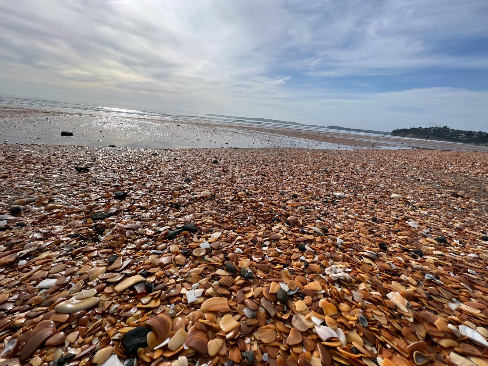 About NZ Online Travel - NZ Online Travel