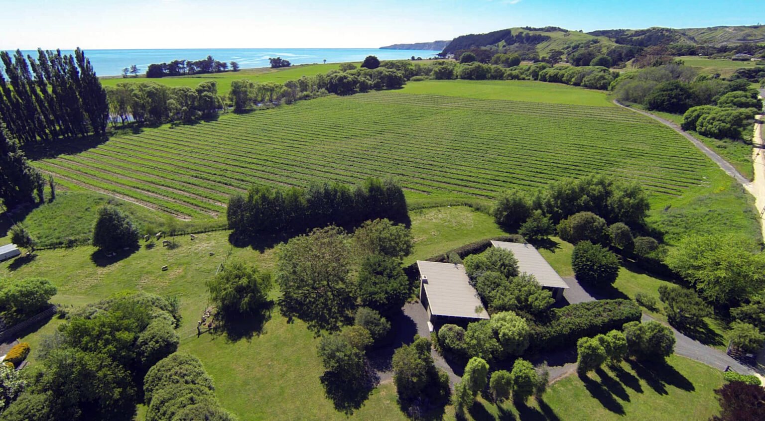 Te Awanga Accommodation for Golf and Wine Lovers - NZ Online Travel